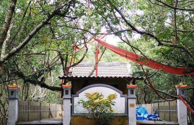 Rú Chá Huế - Một khu rừng đẹp lạ kì giữa thành phố Huế mộng mơ